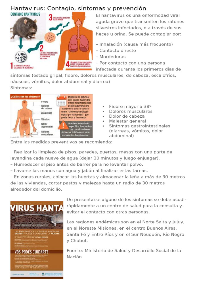 Hanta Virus | PDF | Diarrea | Influenza