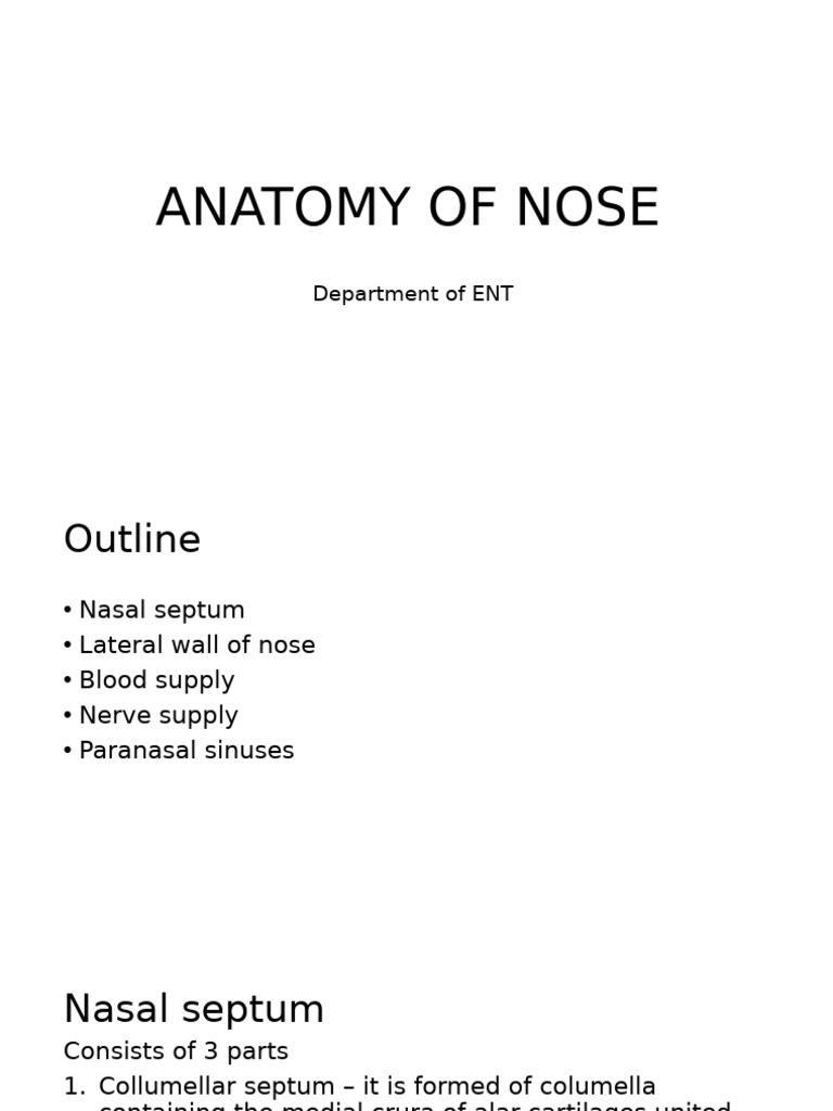 Anatomy of Nose and Pns | PDF