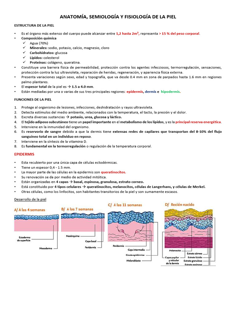 Dermatologia Medi III | PDF | Piel | Perdida de cabello