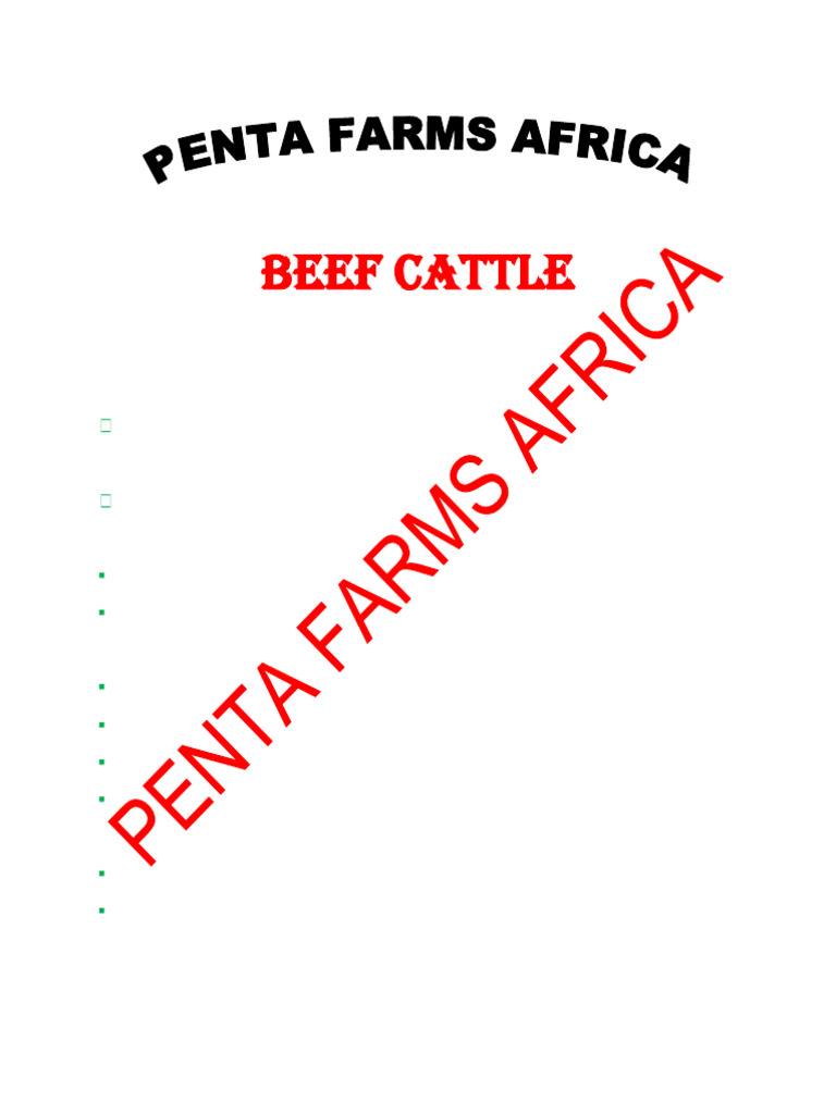 Comprehensive Guide to Beef Cattle Breeds | PDF | Hay | Cattle