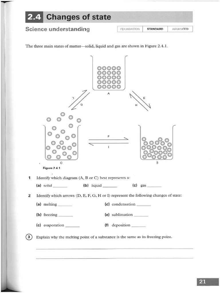 Pearson Worksheet 2.4 | PDF