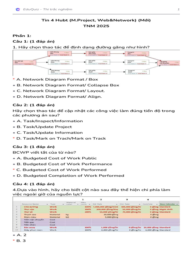 Tin 4 Hubt (M.Project, Web&Network) (Mới) | PDF