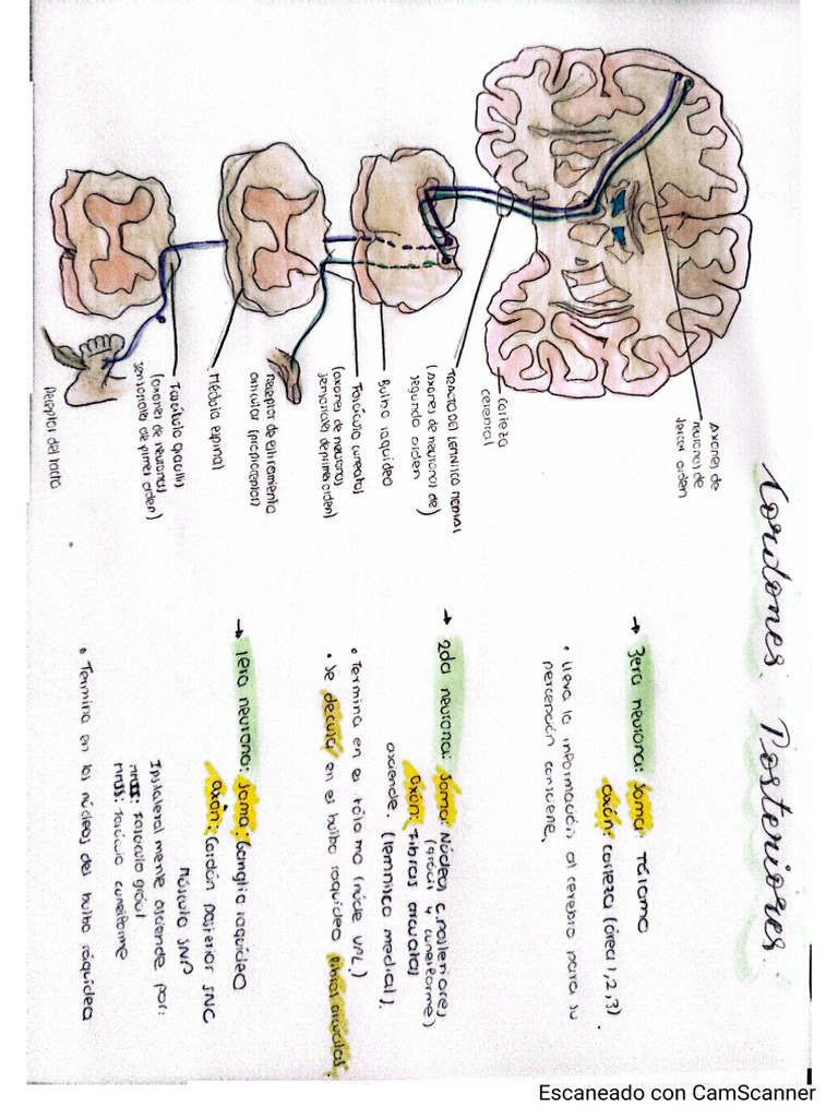 Via Ssssss | PDF