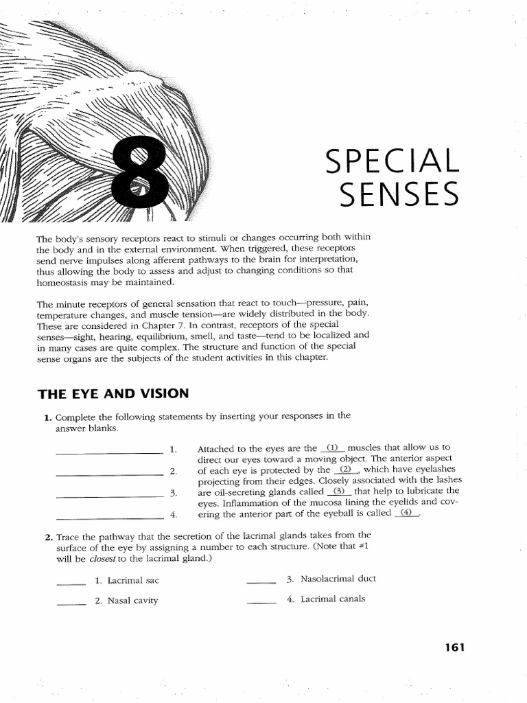 Chapter 8 Special Senses ANATOMY | PDF | Taste | Anatomy