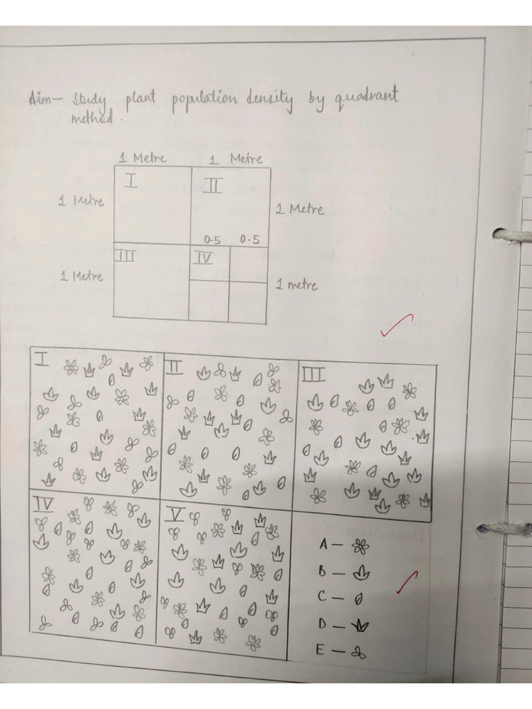 Biology Experiment 2 | PDF