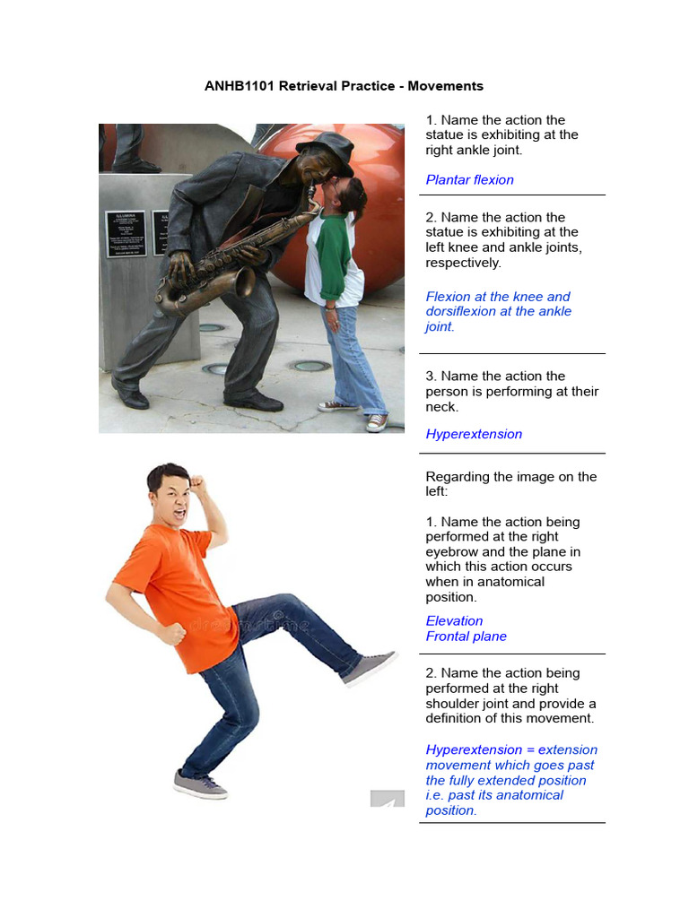 Joint Movements and Actions Explained | PDF | Anatomical Terms Of ...