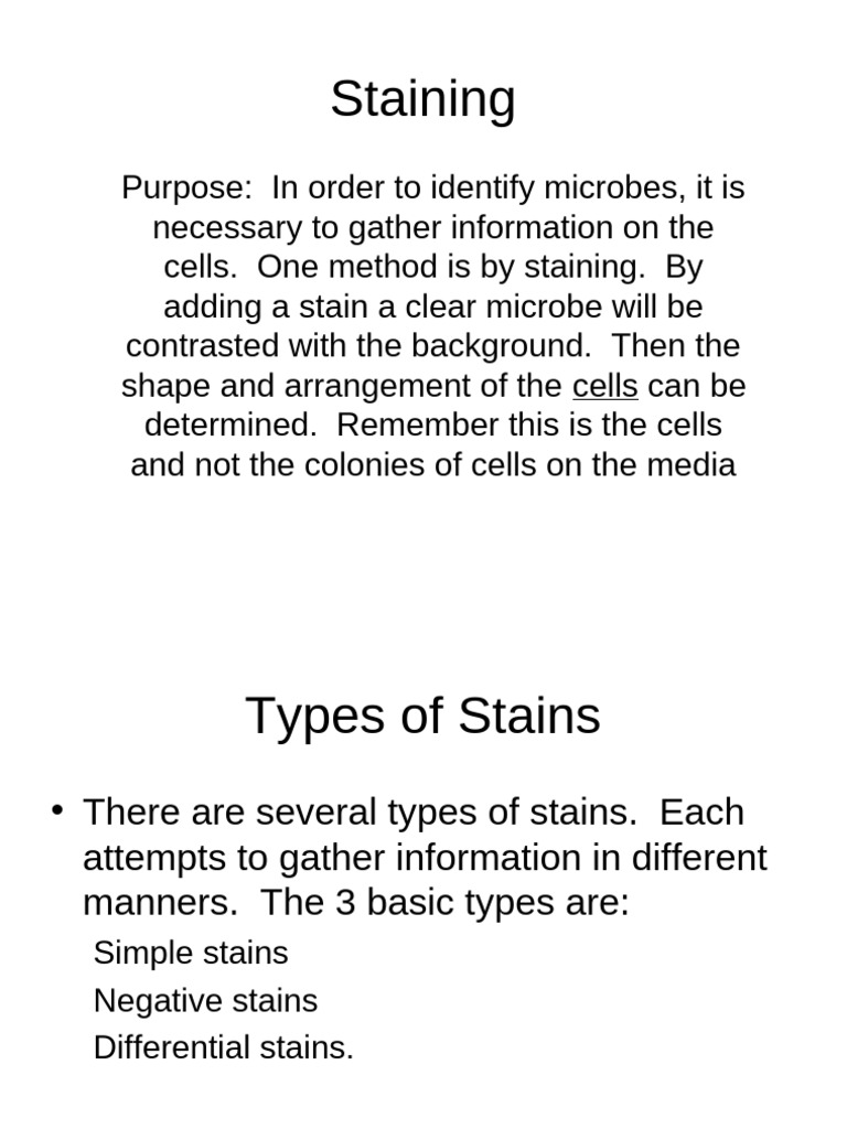 Microbial Identification via Staining | PDF | Staining | Life Sciences
