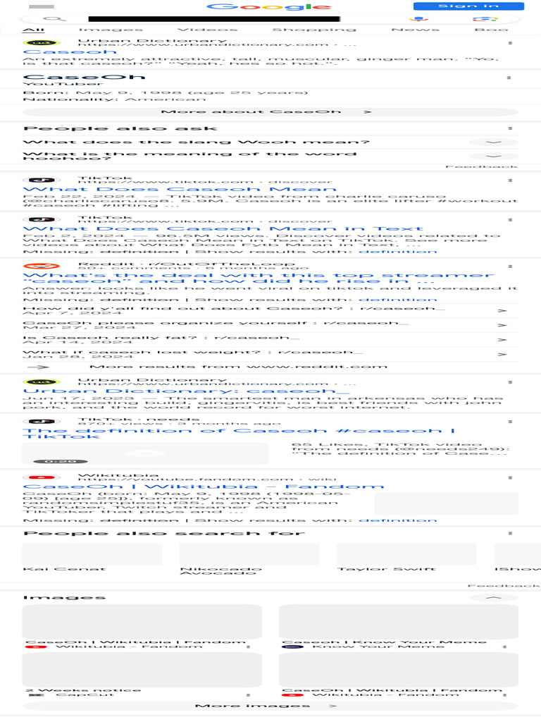 Caseoh Definition - Google Search | PDF