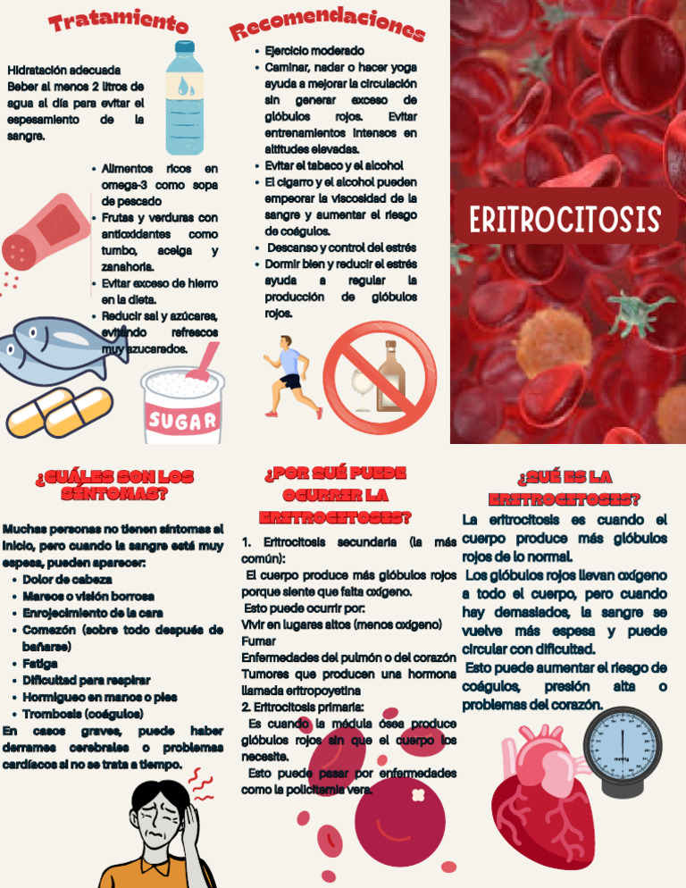 Triptico Eritrocitosis | PDF | Sangre | Especialidades Medicas