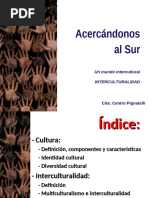 Mapa Conceptual - Interculturalidad | PDF | Interculturalidad