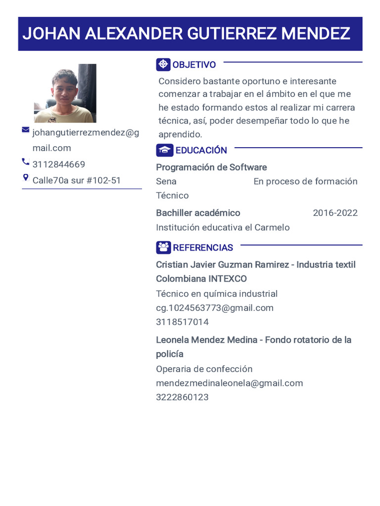 Hoja de Vida Johan | PDF