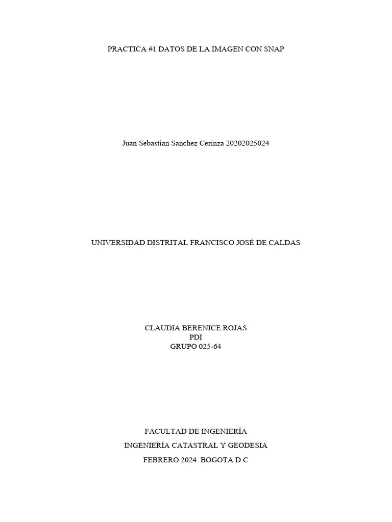 Practica #1 Datos de La Imagen Con Snap | PDF | Píxel | Informática