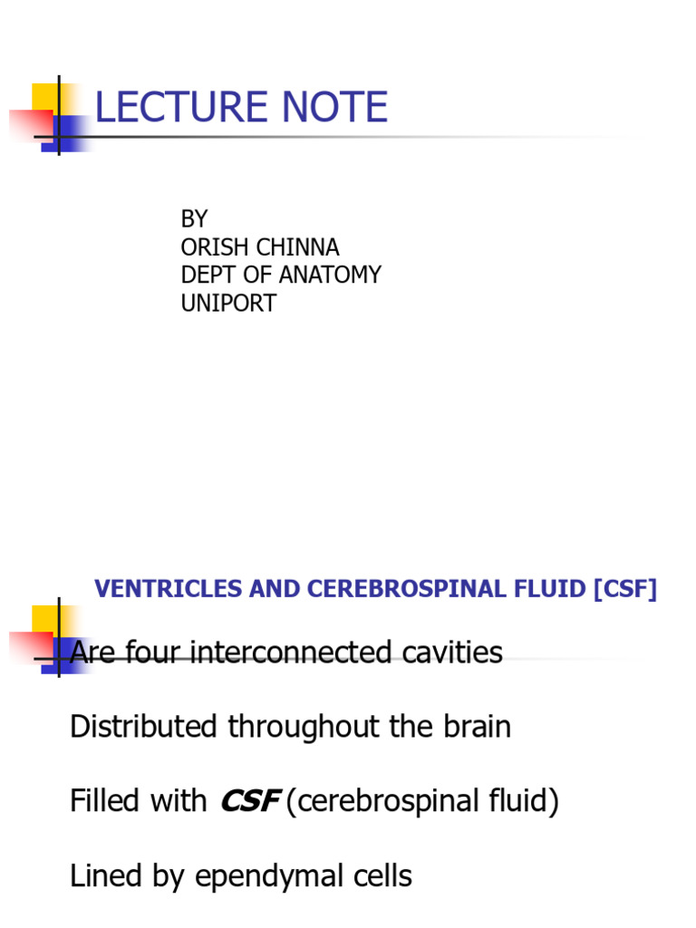 Lecture 5 Ventricles. CSF Circulation | PDF | Cerebrospinal Fluid ...