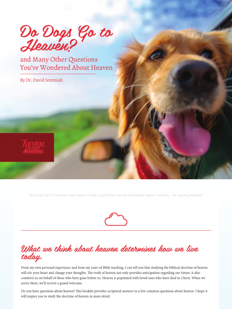 Do Dogs Go To Heaven | PDF | Heaven | Jesus