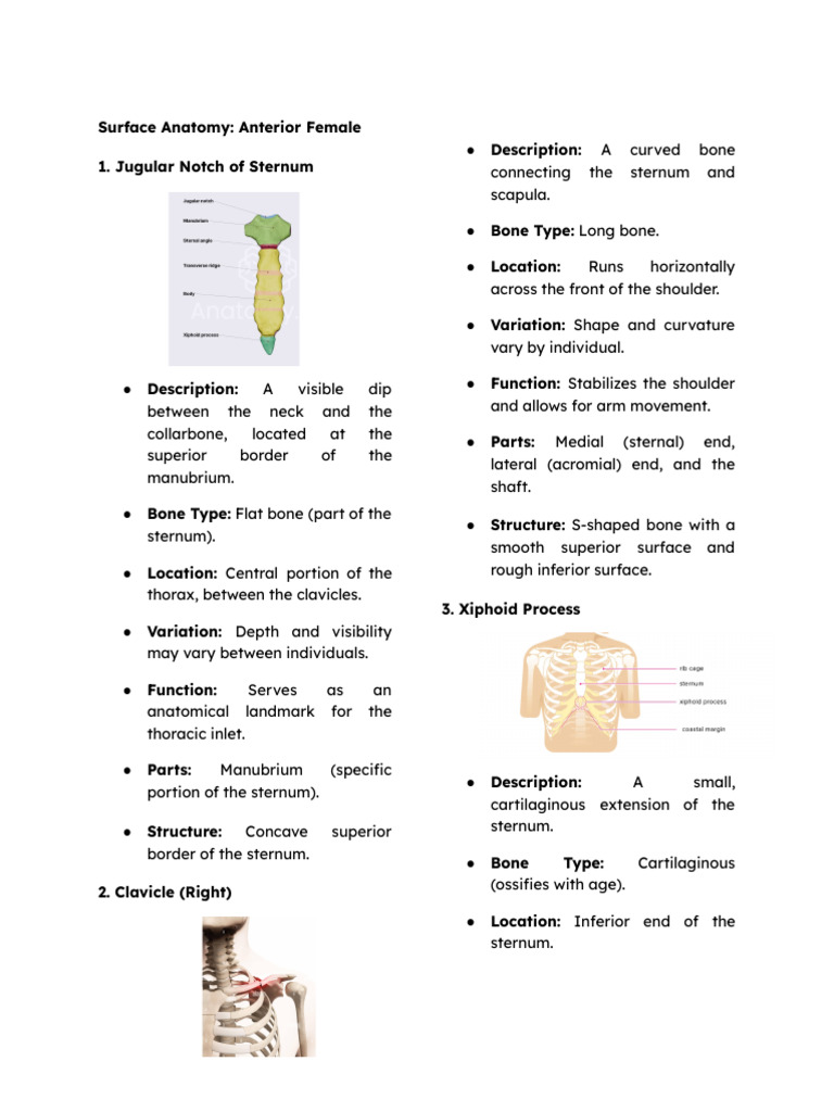 Anaphy Lab Notebook - MIDTERMS | PDF | Vertebra | Shoulder