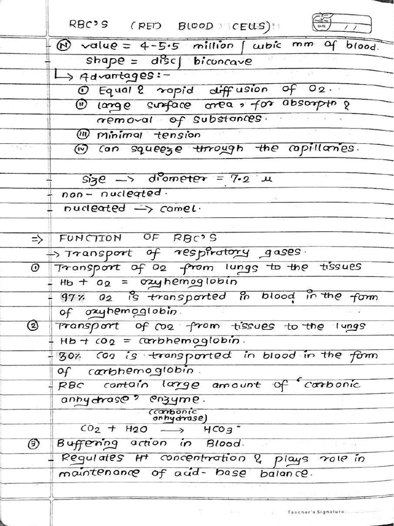 RBC Red Blood Cells Zobia Khan Notes KS Human Physiology | PDF