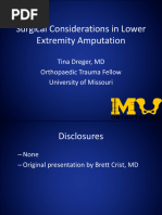 Osteomyoplastic Transtibial Amputation The Ertl.6 | PDF | Amputation ...