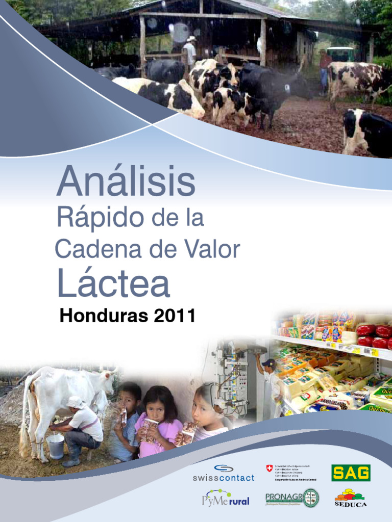 Fortalecimiento de la Cadena Láctea en Honduras | PDF | Productos ...