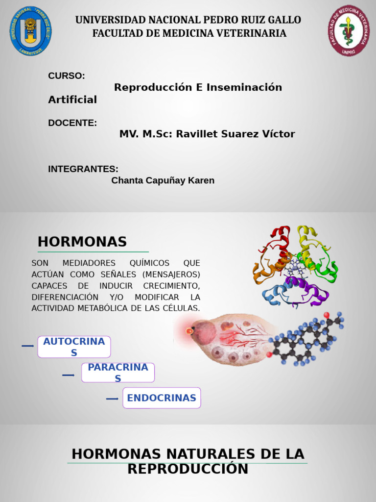 Hormonas Naturales y Sintéticas Disponibles en El Mercado | PDF ...