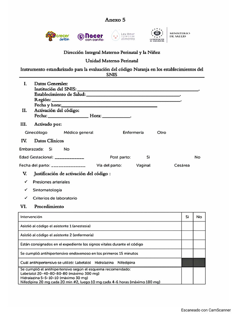 Hojas de Registro Codigos Obstetricos | PDF