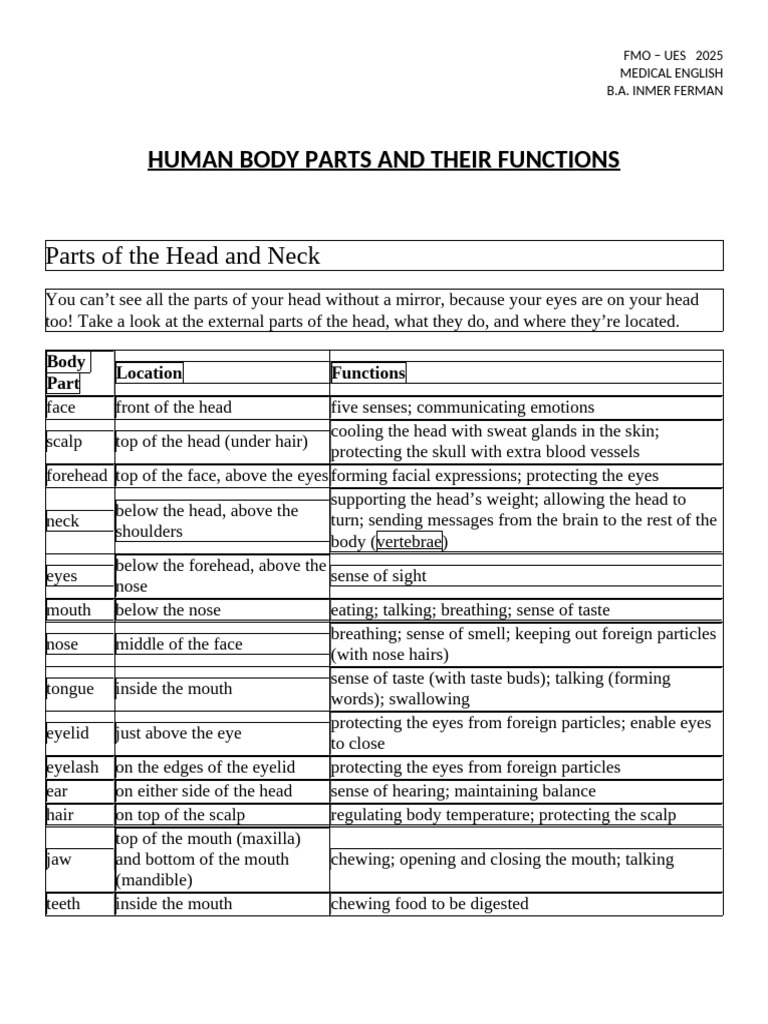 Functions of Human Body Parts | PDF | Human Body | Muscle