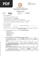 Barangay Profile Template | PDF
