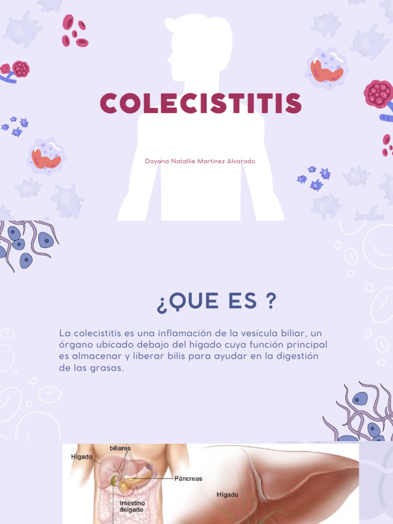 Presentación Funciones Del Cuerpo Humano Orgánico Ilustrado Morado y Rosa Pastel | PDF | Bilis ...