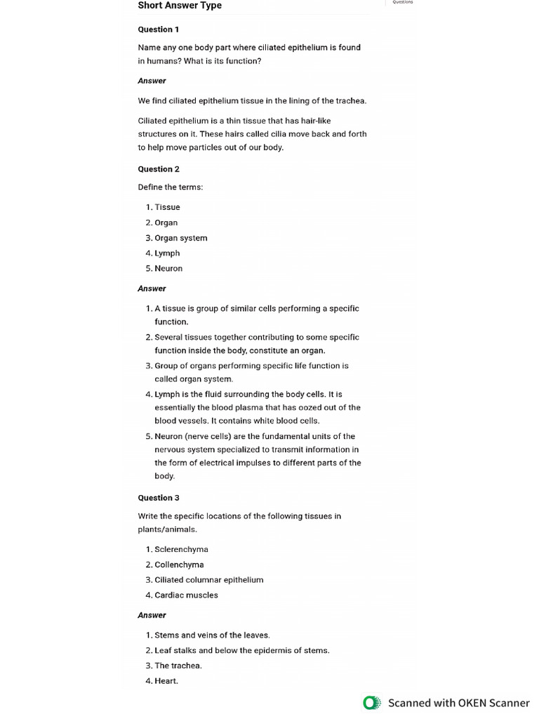 Bio CH 2 Tissue | PDF