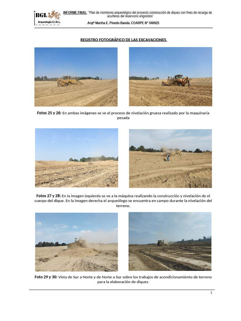 1 Inf. Final Pma Dique (Fotos) | PDF