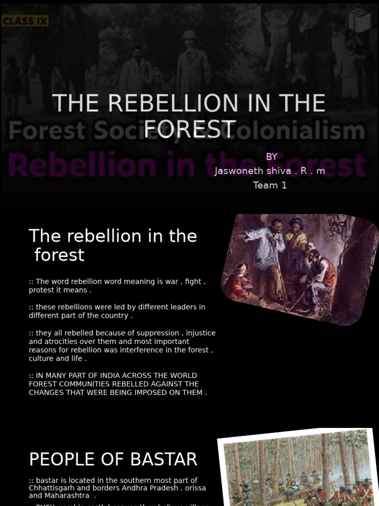 Forest Rebellion: Bastar's Struggle | PDF | Forests