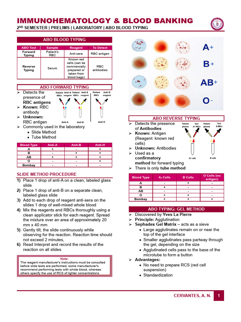 ABO Blood Typing Procedures and Methods | PDF | Antibody | Chemistry