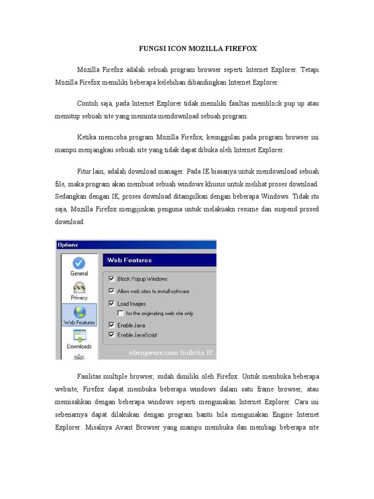 Fungsi Icon Mozilla Firefox | PDF