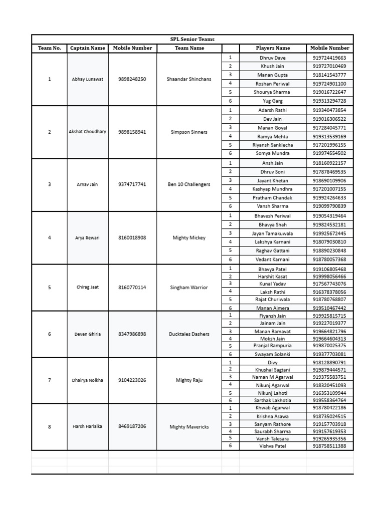 SPL Seniors 2025 Team List | PDF