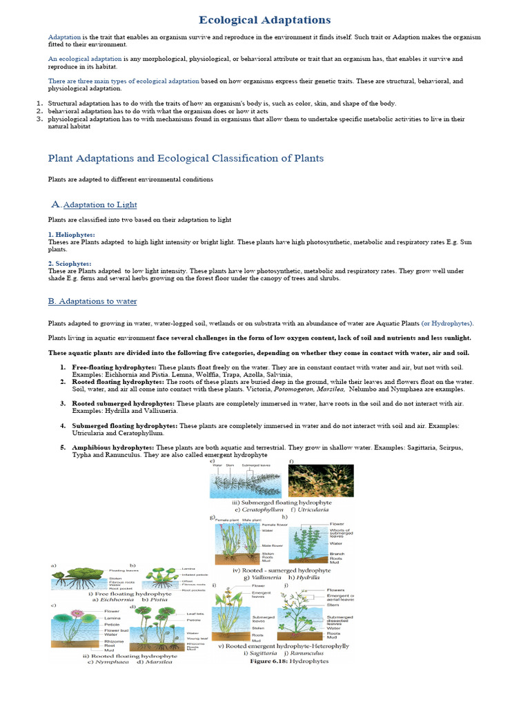 Ecological Adaptations in Plants and Animals | PDF | Mimicry ...