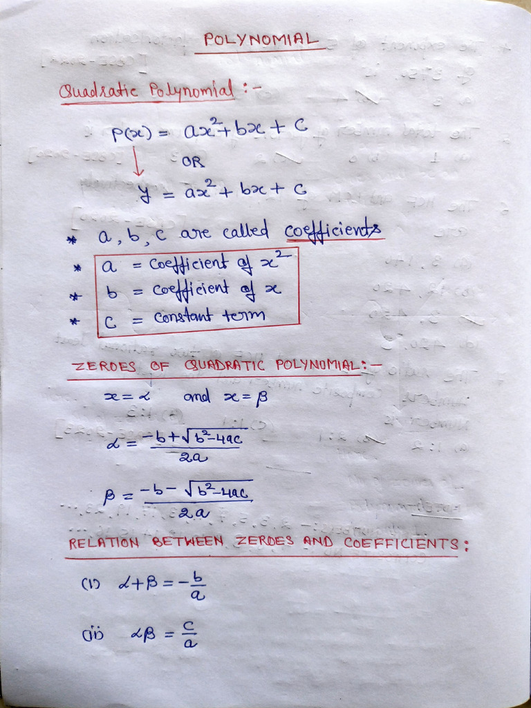 Ch 2(Polynomial) | PDF
