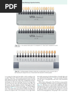 Stump Shade Technical Tip | PDF | Tooth | Tooth Enamel