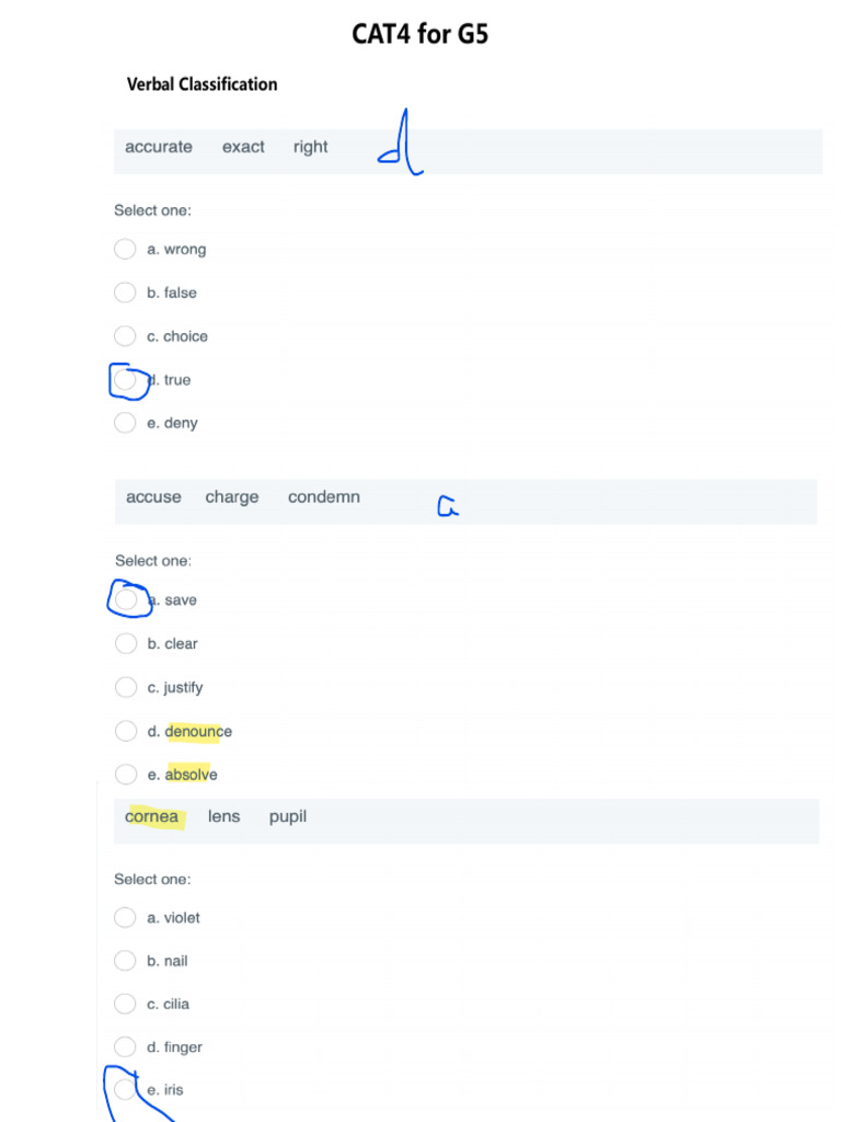Do - CAT4 For G5-02-Verbal Classification 1 | PDF