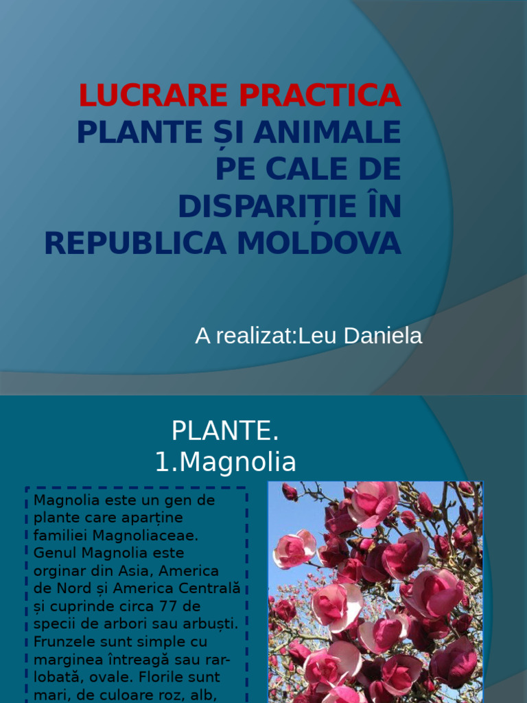 Sitemapcdatahttpsmodeinf Inetcomtuteur Plante Original