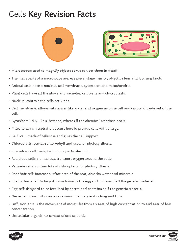 Cells Key Revision Facts | PDF