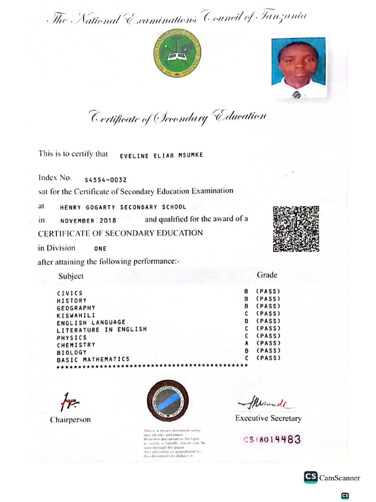 O Level Certificate | PDF