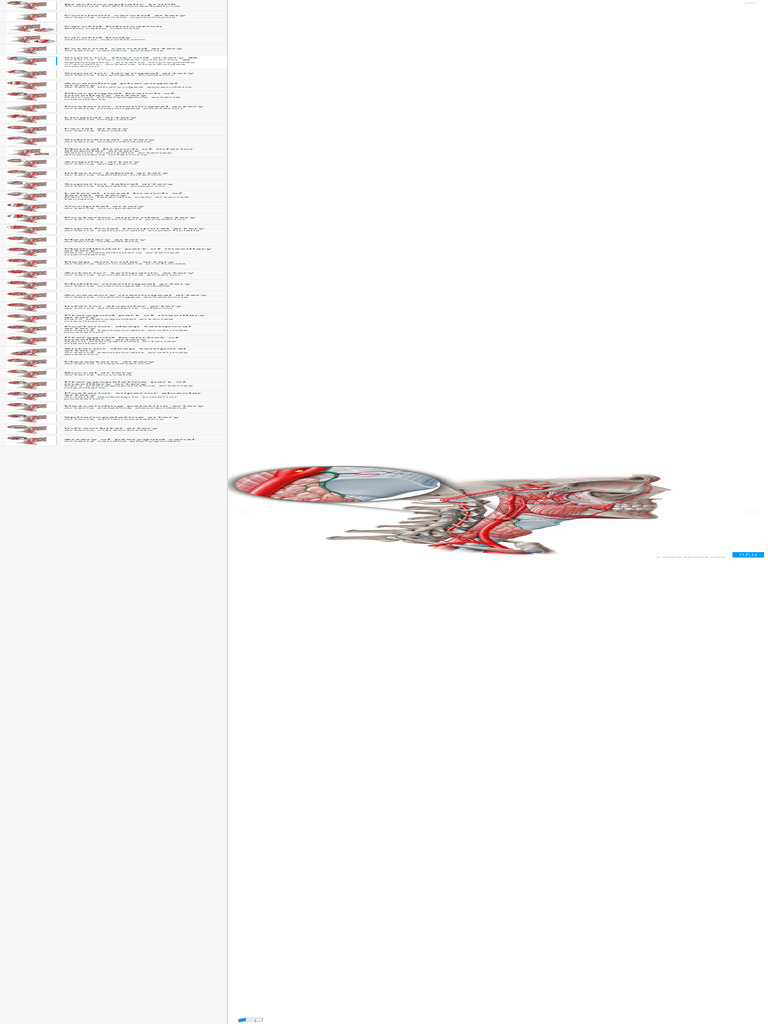 Arteries of The Head Lateral View Kenhub 3 | PDF | Common Carotid ...