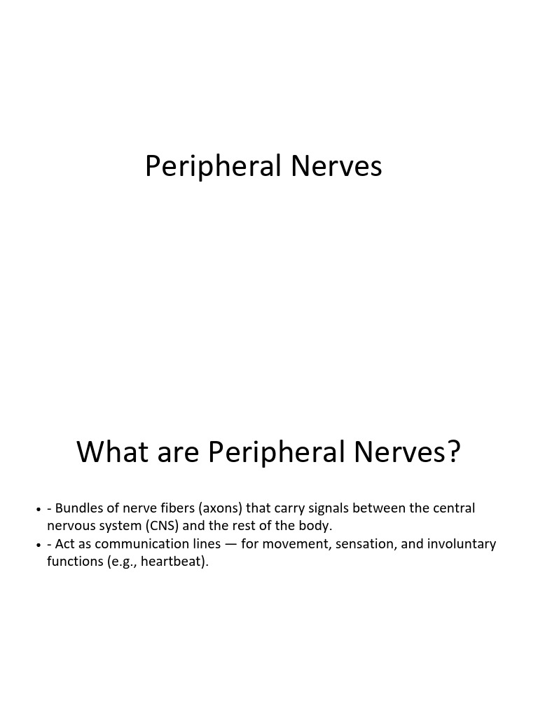 Peripheral Nerves Complete Slides - PPTX 20250602 211841 0000 | PDF
