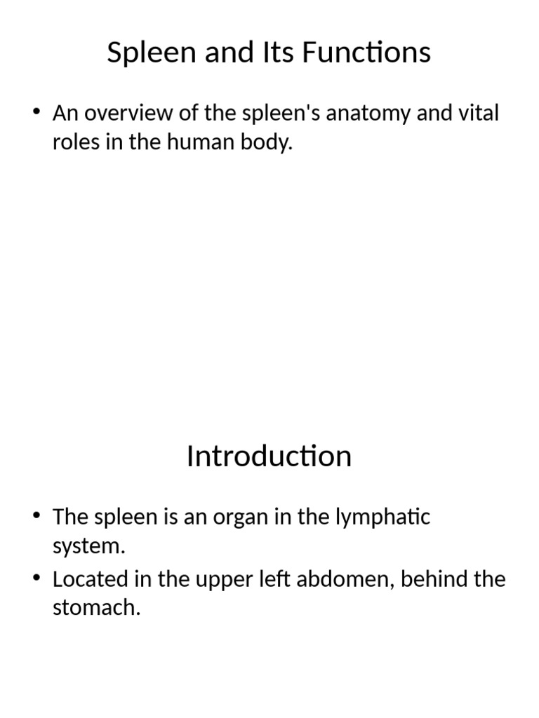 Spleen and Its Functions | PDF
