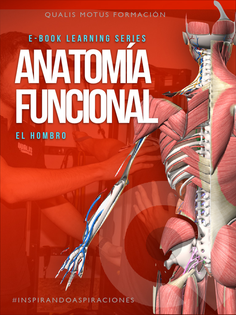 Anatomía Funcional Del Hombro - Qualis Motus | PDF | Hombro | Evolución