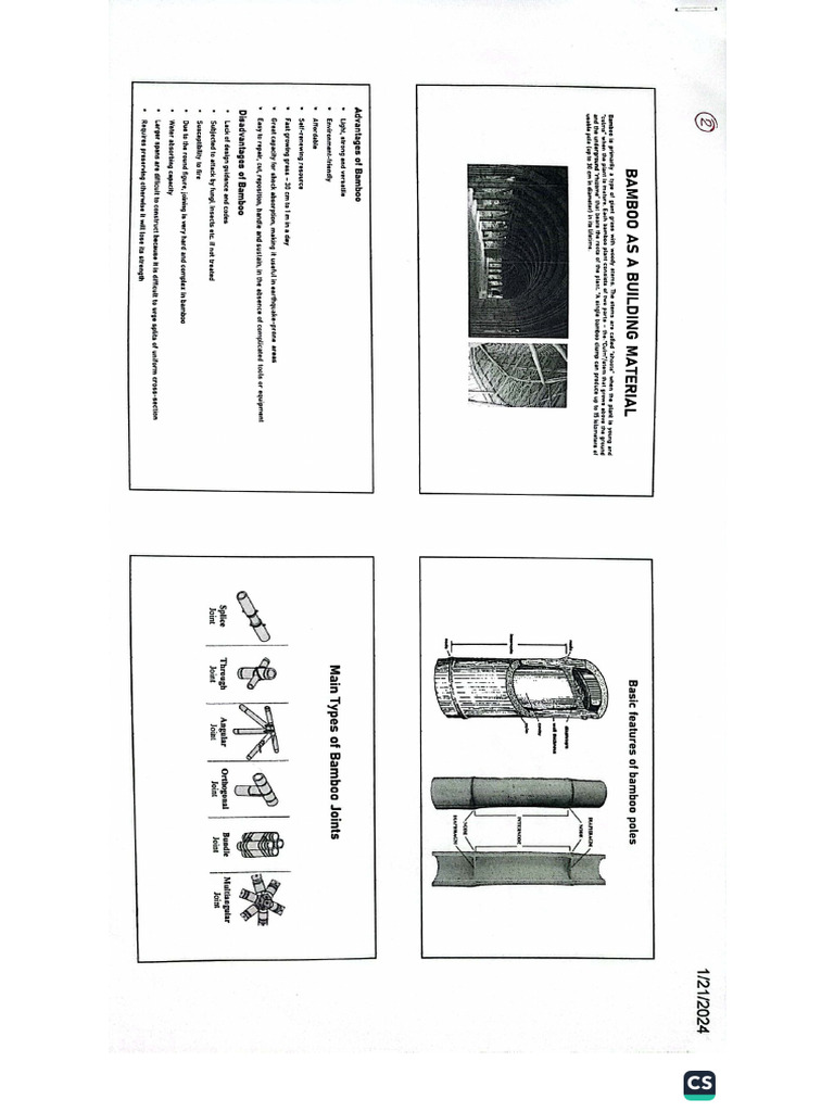 Bamboo | PDF