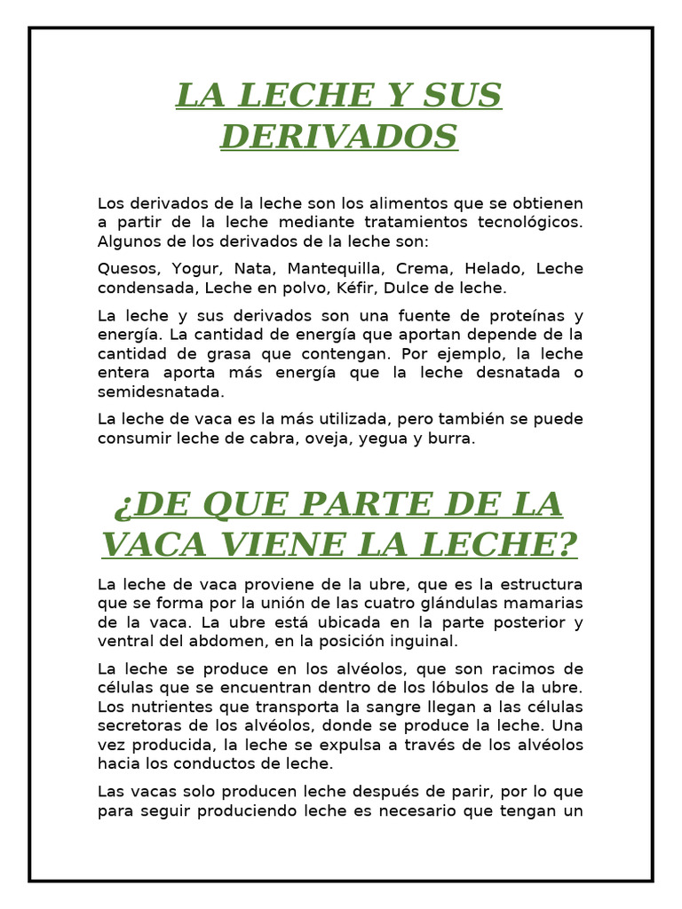 La Leche y Sus Derivados | PDF