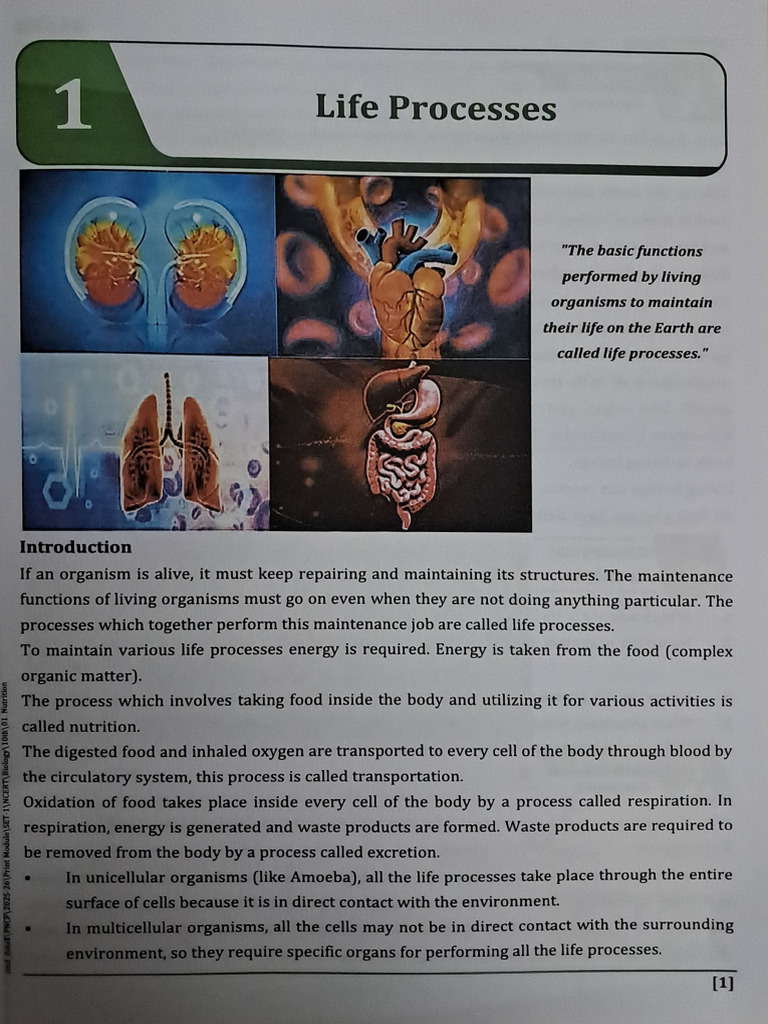 Nutrition - Life Process | PDF
