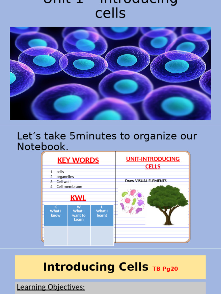 Unit 1 - Introducing Cells - Review | PDF | Cell (Biology) | Chloroplast