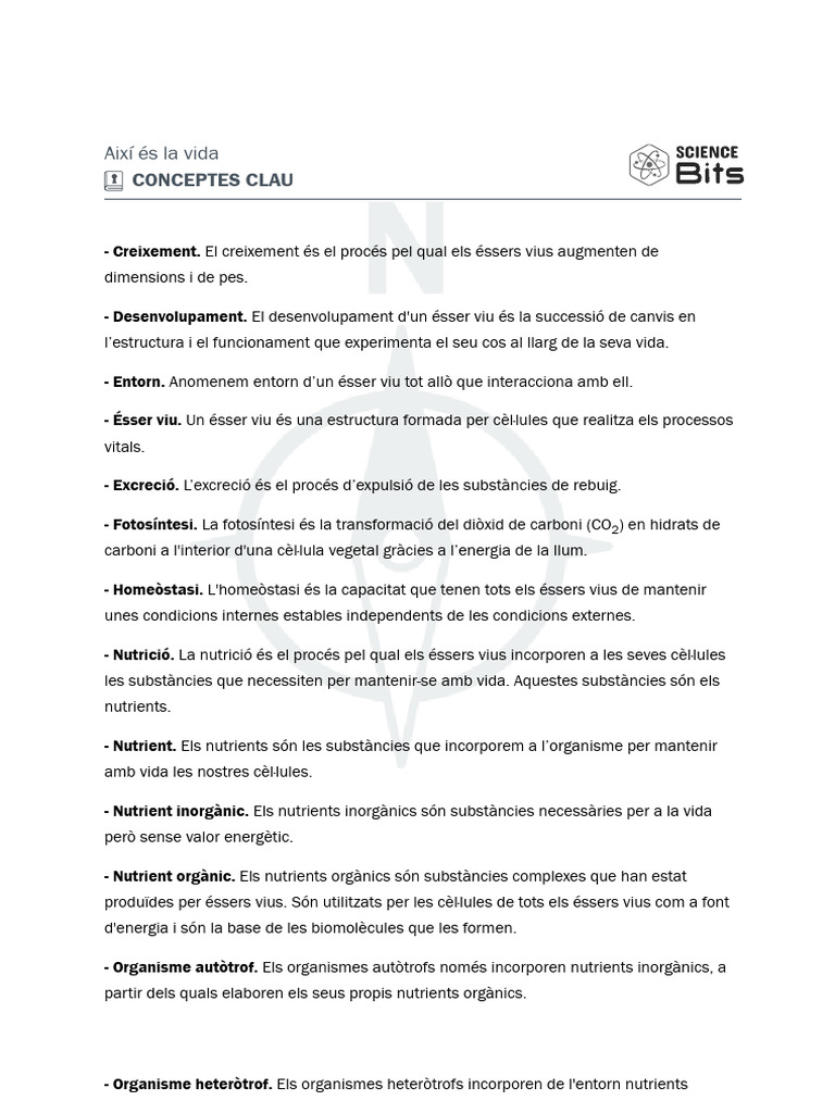 Així És La Vida | PDF