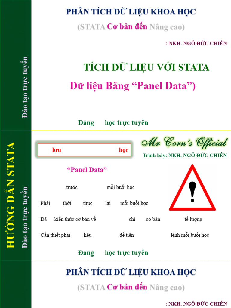 Slide Bai Giang Panel Data in Stata | PDF